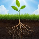 ATP Meaning in Text: What It Stands For, How to Use It & Examples