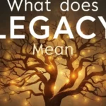 WYD Meaning in Text: What WYD Stands For, How to Use It, and Examples